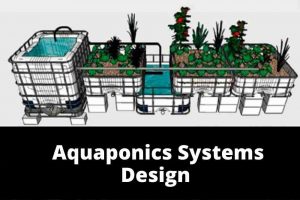Aquaponics Systems Design (Explained For Beginners) - Fish Article